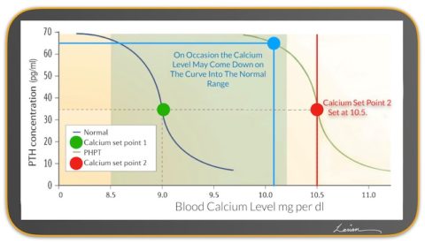 Hyperparathyroidism Causes & Treatment Options | Dr. Babak Larian